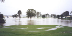 Shark Infested Golf Course! - Haggin Oaks