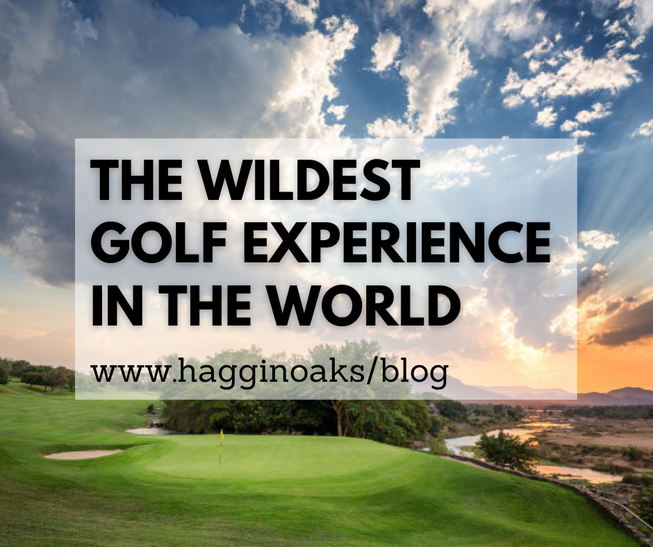 The Wildest Golf Experience in the World! - Haggin Oaks