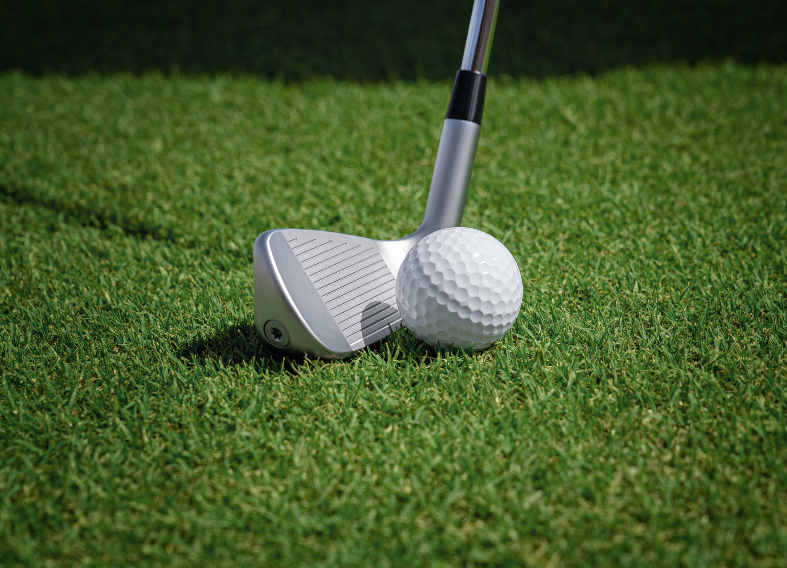 The ChipR Is Now Available At Haggin Oaks - Haggin Oaks