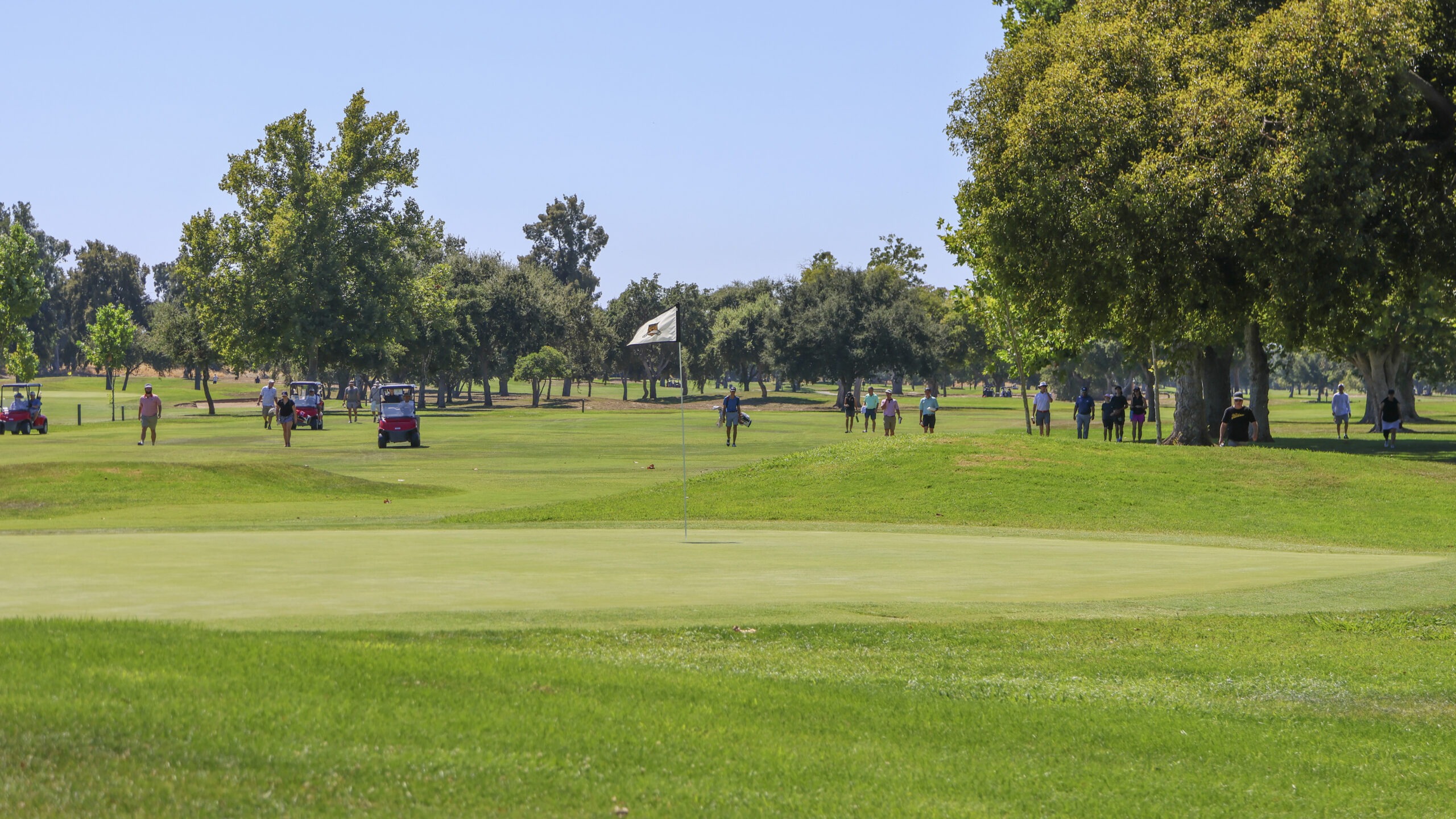 Matthew Sutherland Wins the California State Fair Championship - Haggin ...
