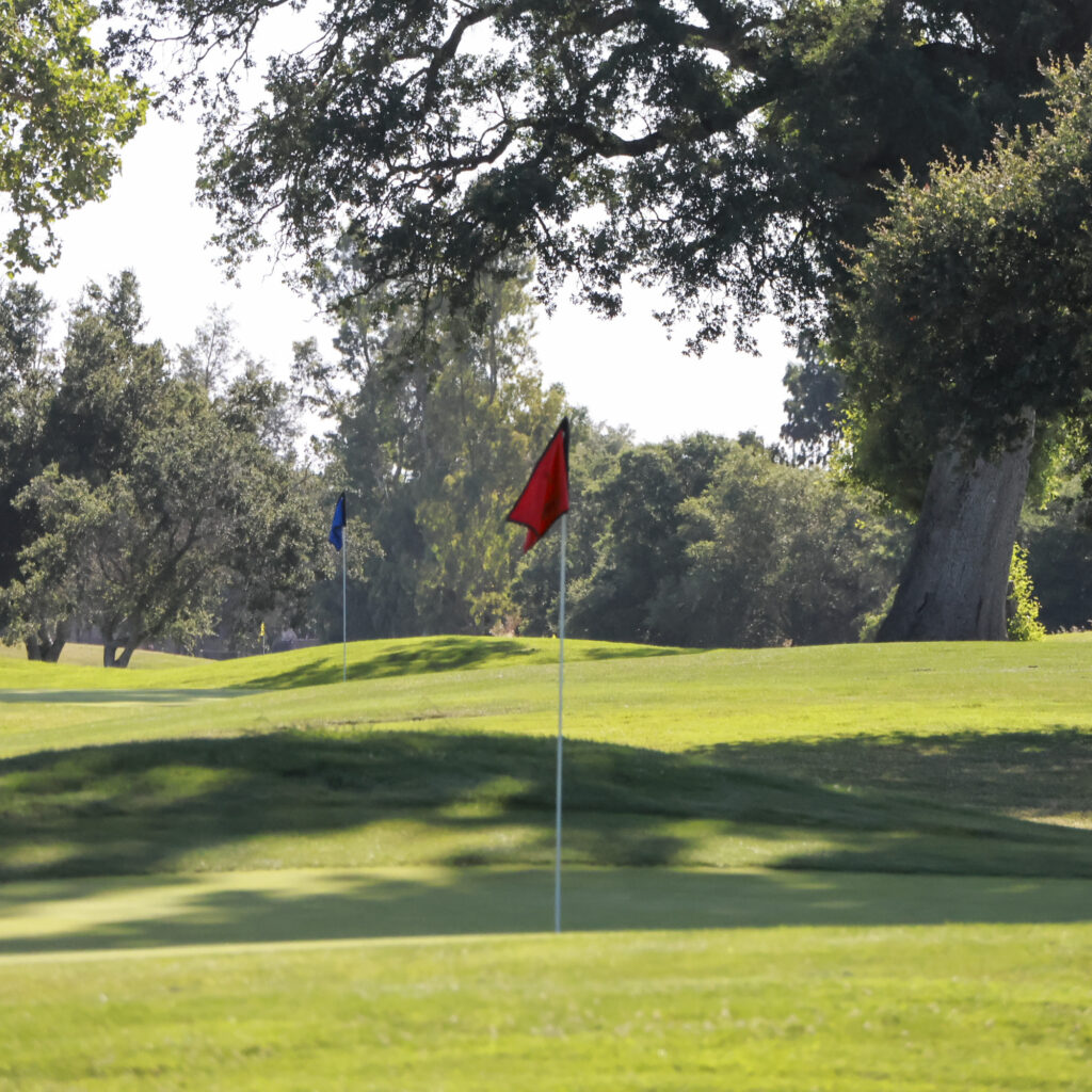 Haggin Oaks Golf Complex, Sacramento CA.